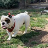 COIN-OP GAME ROOM TEMECULA - 146 Photos & 103 Reviews - Bars - 28588 ...