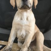 PHINNEY STATION - Updated October 2025 - 77 Photos & 51 Reviews - 7418 ...