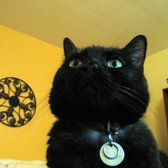 MERCY GILBERT MEDICAL CENTER - Updated December 2025 - 119 Photos & 432 ...