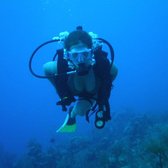 DAISO - Updated December 2025 - 48 Photos & 12 Reviews - 3141 E Indian ...