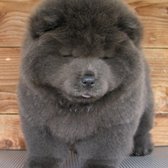 ALAMEDA SURGERY CENTER - Updated December 2025 - 72 Reviews - 2601 W ...