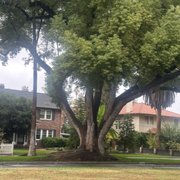 The Law Office of Vincent W. Davis | CPS Attorney California