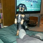 THE SPIRIT GRILLE - Updated December 2025 - 84 Photos & 148 Reviews ...