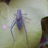 C. BENJAMIN MA, MD - Updated December 2025 - 54 Reviews - 1500 Owens St ...