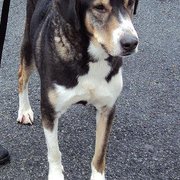 TARGET - Updated December 2025 - 20 Photos & 28 Reviews - 579 Gar Hwy ...