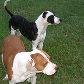 MICHAELS - Updated October 2025 - 35 Photos & 38 Reviews - 11719 NE ...