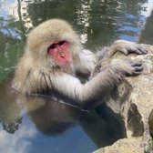 COMMUNITY FIRST MEDICAL CENTER - 33 Photos & 112 Reviews - 5645 W ...