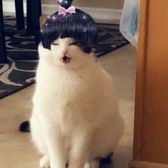 QUEST DIAGNOSTICS - Updated September 2025 - 15 Photos & 10 Reviews ...