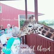 BRIGHT’S ZOO - Updated January 2026 - 95 Photos & 39 Reviews - 3425 Hwy ...