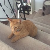 SOUTH HEALTH CAMPUS - Updated January 2025 - 18 Photos & 36 Reviews ...