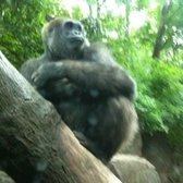 ARMIJO SWIMMING POOL - Swimming Pools - 911 N Ochoa St, El Paso, TX - Yelp