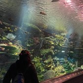 RECLECTIC - Updated August 2025 - 15 Photos & 12 Reviews - 1455 ...