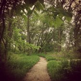 ELA AREA PUBLIC LIBRARY - Updated January 2026 - 11 Photos & 16 Reviews ...