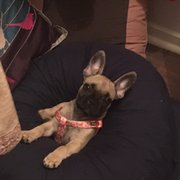 TAN DALLAS - 29 Photos & 108 Reviews - Spray Tanning - 5400 E ...