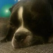 OUTDOOR REGEAR - Updated December 2025 - 18 Photos & 35 Reviews - 4520 ...