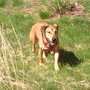 CANNAPI - Updated April 2025 - 18 Reviews - 255 N Pearl St, Brockton ...