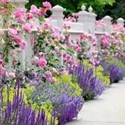 FUCHSIA SPA - Updated October 2025 - 56 Photos & 151 Reviews - 1822 S Val Vista Dr, Mesa ...