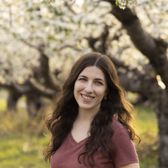 TARGET - Updated December 2025 - 26 Photos & 22 Reviews - 1290 N State ...