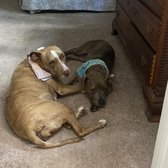 SMYRNA DENTIST OFFICE - Updated December 2025 - 23 Photos & 43 Reviews ...