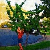 OMBU GRILL - Updated May 2025 - 35 Photos & 29 Reviews - 1120 Main St ...