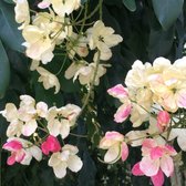 GREGORY SCHMIDT, MD - Updated September 2025 - 31 Photos & 90 Reviews ...