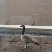 MJR UNIVERSAL CINEMA - Updated December 2025 - 47 Photos & 55 Reviews ...