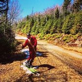 IRA SUBARU - Updated December 2025 - 23 Photos & 280 Reviews - 97A ...