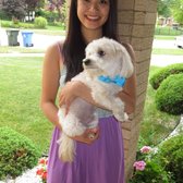 WOODFIELD LEXUS - Updated October 2025 - 116 Photos & 254 Reviews - 350 ...