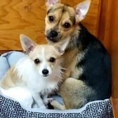 ALAN RECHTER, MD - Updated December 2025 - 23 Reviews - 18885 Katy Fwy ...