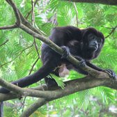 SWANTON HOUSE OF PIZZA - 12 Photos & 25 Reviews - 32 Merchants Row ...