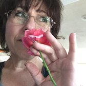 APCAL ROCK N’ RANCH - Updated December 2025 - 100 Photos & 77 Reviews ...