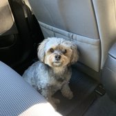 NORCAL IMAGING | OAKLAND - Updated August 2025 - 27 Photos & 296 ...