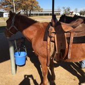 RIVER RANCH TEXAS HORSE PARK - 60 Photos & 21 Reviews - 811 Pemberton ...