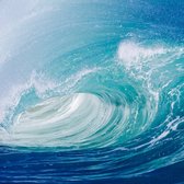 CAROLINA CONCEPTIONS - CENTRAL RALEIGH - Updated January 2026 - 12 ...