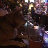 KNICKERBOCKER SALOON - 92 Photos & 49 Reviews - 113 N 5th St, Lafayette ...