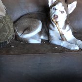 ADDISON ICE HOUSE - 112 Photos & 172 Reviews - 3875 Ponte Ave, Addison ...