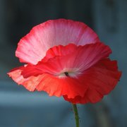 WALMART - Updated December 2025 - 72 Photos & 67 Reviews - 700 ...