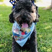 WALMART - Updated December 2025 - 173 Photos & 238 Reviews - 2050 W ...