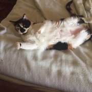 CARMAX - Updated January 2026 - 27 Photos & 72 Reviews - 5601 Urbana ...