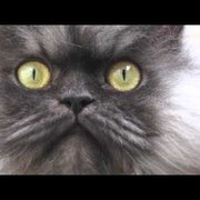 DONNELLAN FAMILY FUNERAL SERVICES - Updated August 2025 - 28 Photos ...