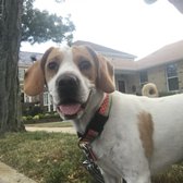 MATCHPOINT NYC - Updated December 2025 - 138 Photos & 160 Reviews ...