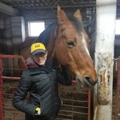 MEMORY LANE STABLES - 140 Photos & 74 Reviews - 8290 Kean Ave, Willow ...