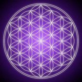 PREMIER FAMILY PHYSICIANS - WESTLAKE - Updated December 2025 - 15 ...