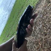 COSTCO - Updated January 2026 - 15 Photos & 20 Reviews - 3173 S Kanner ...