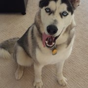 SEDANO FORD - Updated October 2025 - 84 Photos & 178 Reviews - 8970 La ...