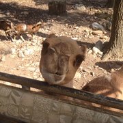 LEGO STORE - Updated December 2025 - 108 Photos & 44 Reviews - 7966L ...