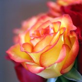 GOZZI’S TURKEY FARMS - Updated April 2025 - 53 Photos & 29 Reviews ...