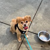 ADDISON GILBERT HOSPITAL - Updated January 2026 - 30 Reviews - 298 ...