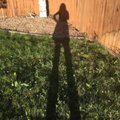 Hoopes Vision - Updated May 2026 - 38 Photos & 134 Reviews - 11820 S ...