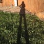 Hoopes Vision - Updated May 2026 - 38 Photos & 134 Reviews - 11820 S ...